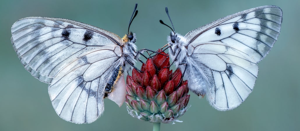 Transformative Relationships — Taking into Account Power, Rank ...